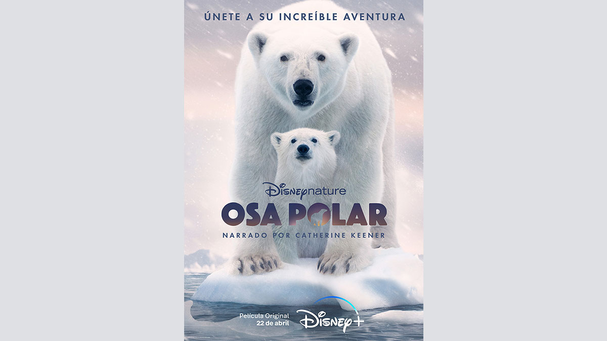Disney+ estrena Osa Polar - TVNotiBlog