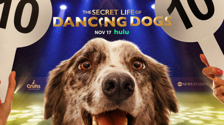 The Secret Life of Dancing Dogs - TVNotiBlog